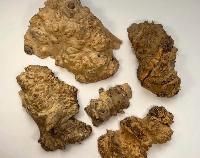 Set of Burl Wood. Burl Wood. Live Edge Wood. Burls Mix. Maple Burls ...