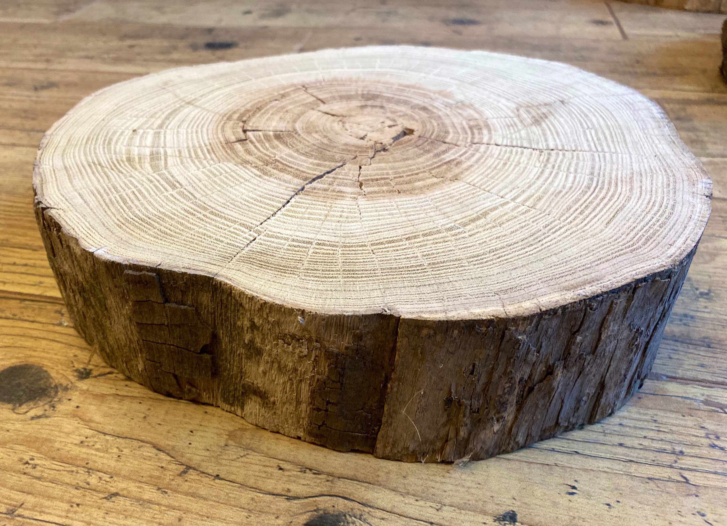 Round Wood Slab. Coaster. Wood Slab. Live Edge Wood Slab. - Etsy