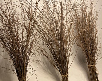 Extra Long Birch Twigs - Etsy