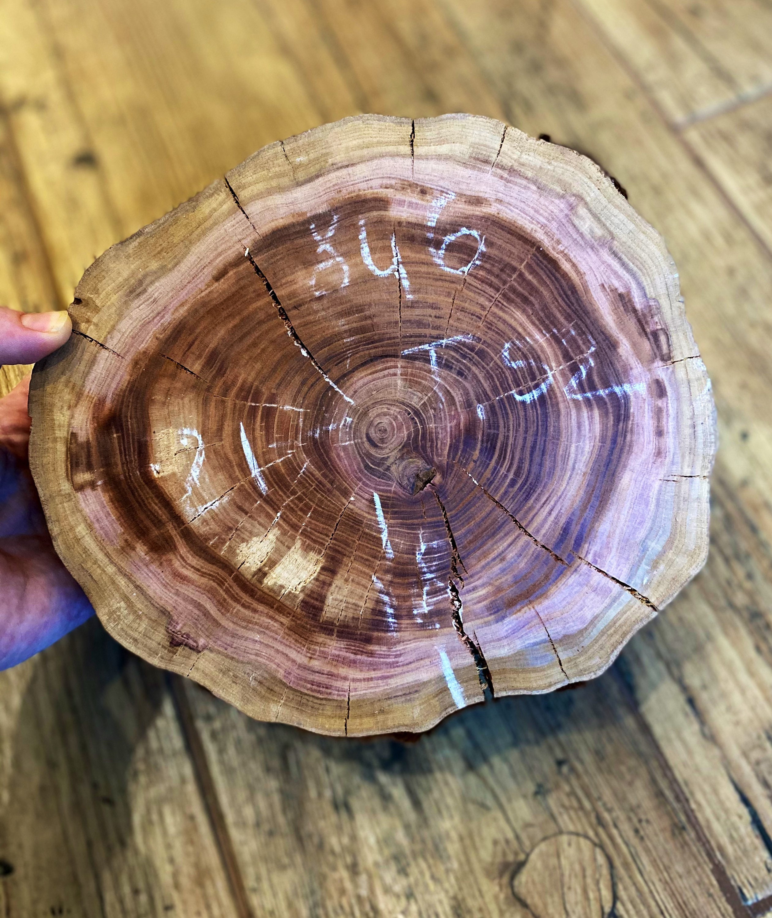 Wood Slab. Live Edge Wood Slab. Wooden Slab. Wood Slice. Round - Etsy