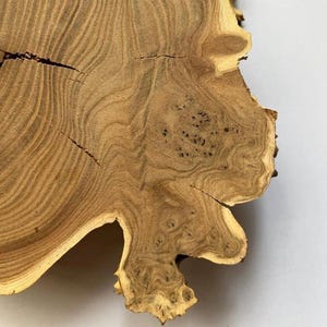 Olive Burl. Woodworking Burl. Epoxy Craft. Live Edge Wood. Burl Wood ...