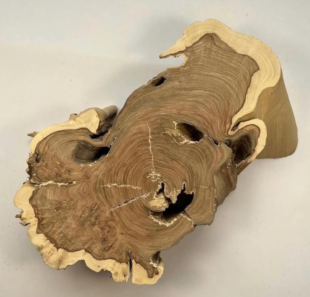 Burl Wood. Epoxy Resin. Burl Wood. Live Edge Wood. Lilac Burl Slab ...