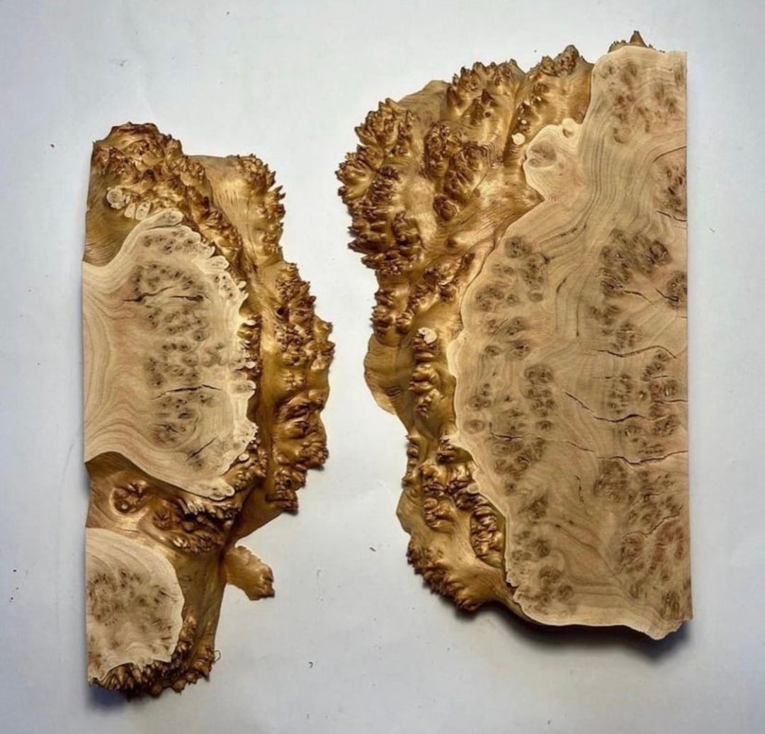 Set of Burl Wood. Burl Wood. Live Edge Wood. Dried Burl Slabs. Big ...