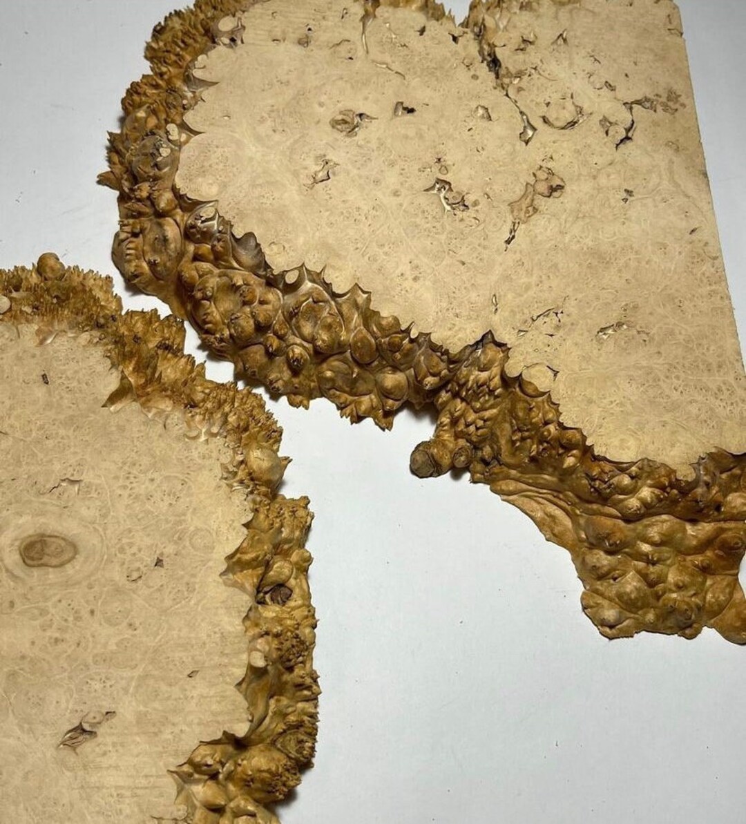 Maple Burl Wood. Big Leaf Maple Burl Resin Slab. Live Edge - Etsy