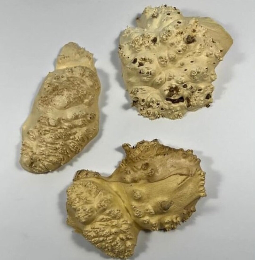 Set of Burl Wood. Burl Wood. Live Edge Wood. Burls Mix. Maple Burls ...