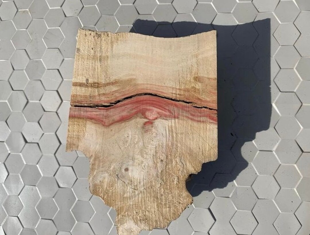 Maple Burl Wood. Maple Slab. Wood Piece. Epoxy. Resin Casting. Birds ...