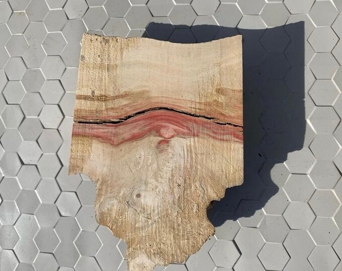 Maple Burl Wood. Maple Slab. Wood Piece. Epoxy. Resin Casting. Birds ...