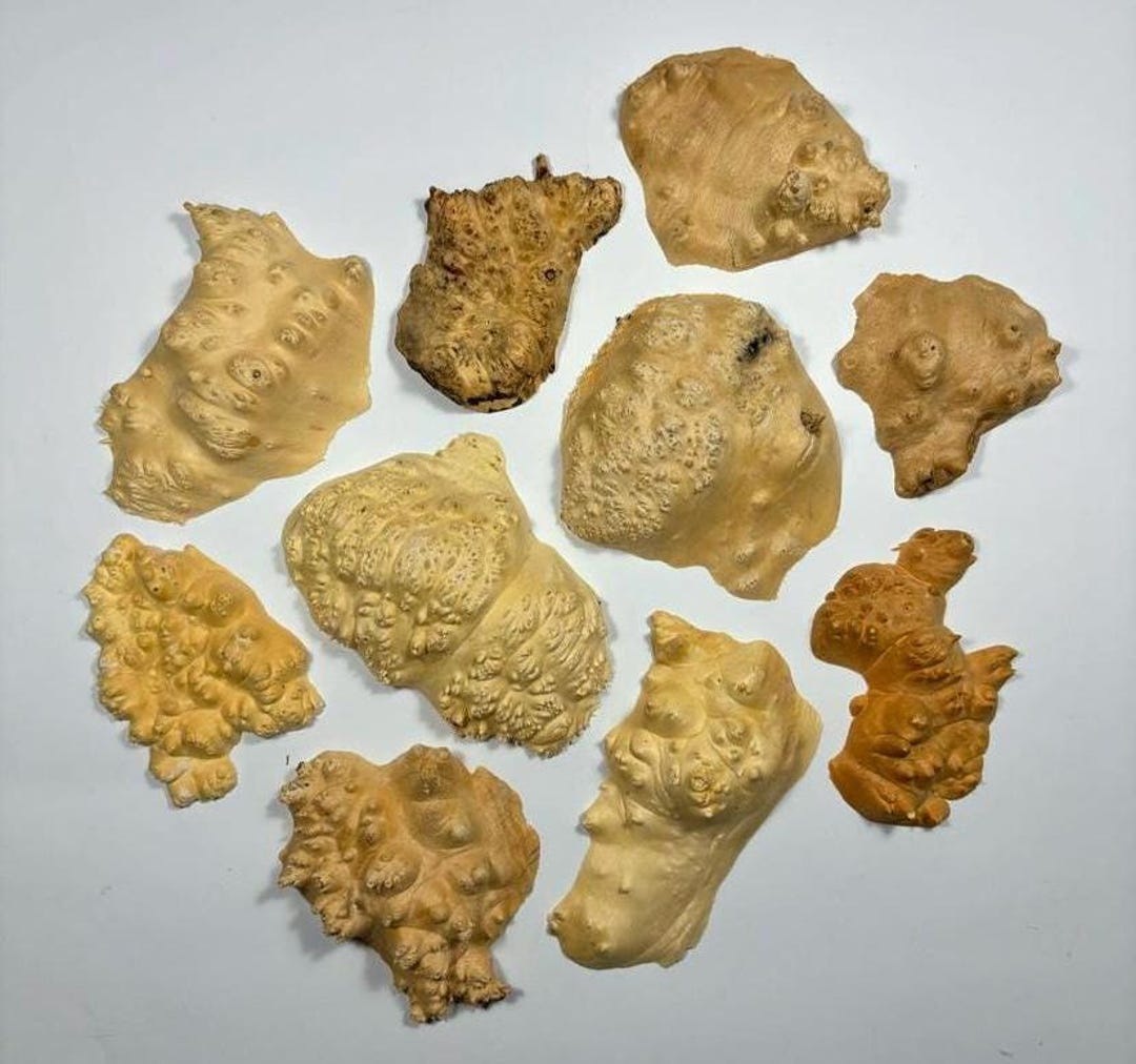 Set of Burl Wood. Burl Wood. Live Edge Wood. Burls Mix. Maple Burls ...