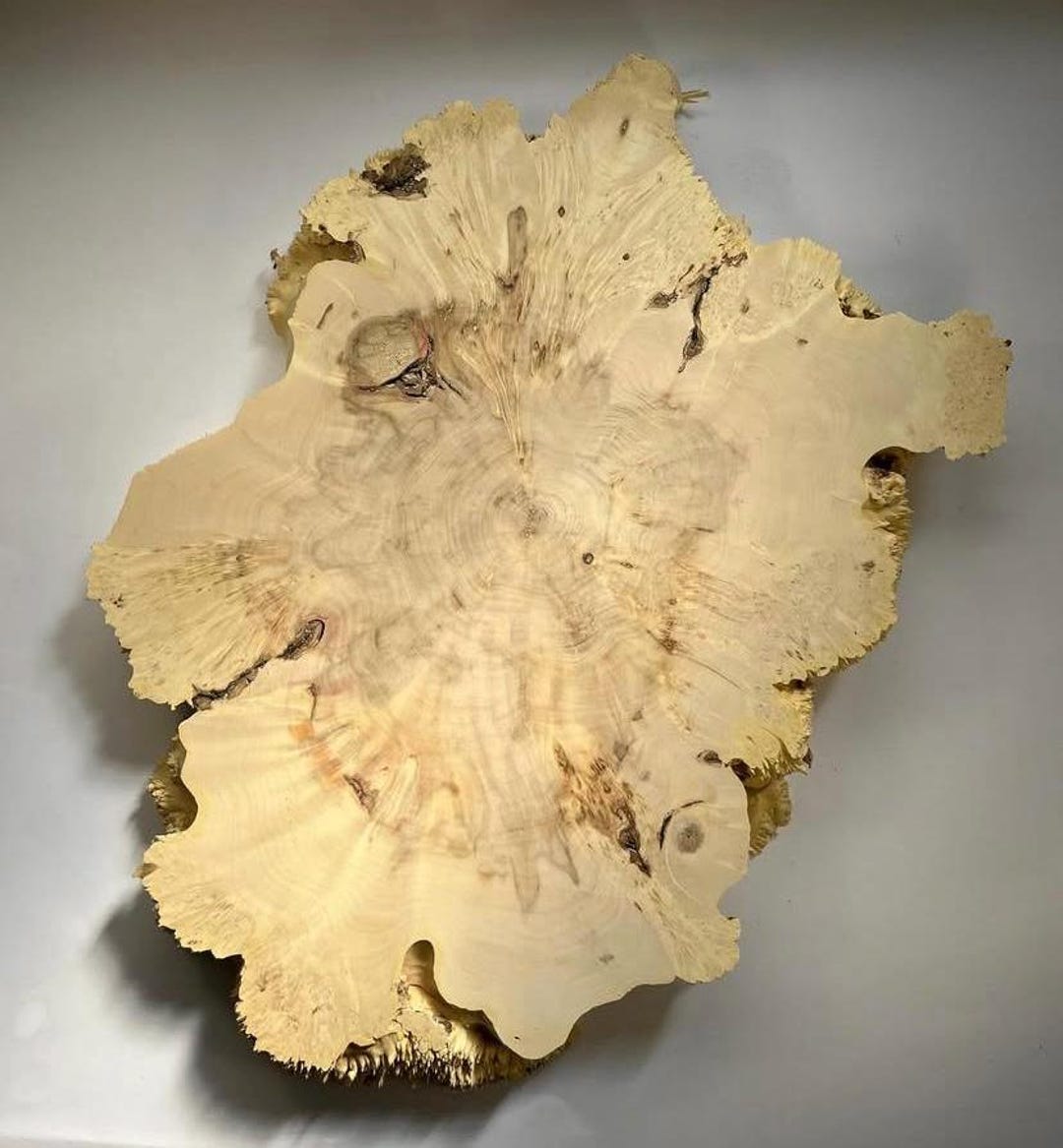 Dried Maple Burl Wood Slab: 19.7” Unique Live Edge Piece - Etsy