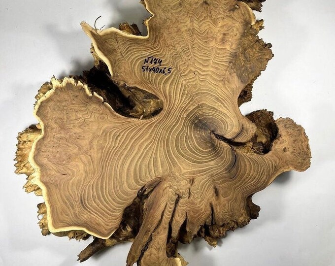 Olive Burl Wood. Burl Slab. Live Edge. Brown Rustic Wood. Wood Slab ...