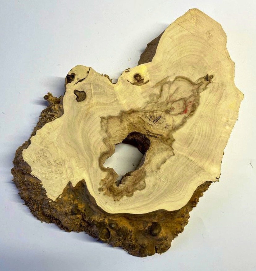 Maple Burl. Woodworking Burl. Epoxy Craft. Live Edge Wood. Burl Wood ...