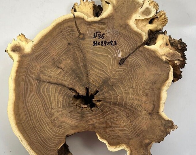 Olive Burl. Woodworking Burl. Epoxy Craft. Live Edge Wood. Burl Wood ...