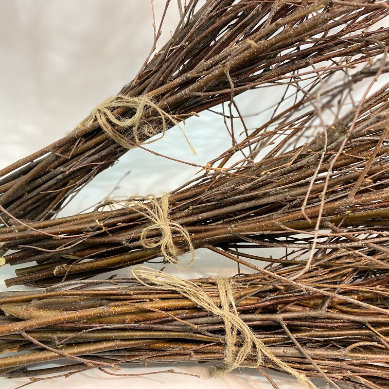 Long Birch Twigs - Etsy