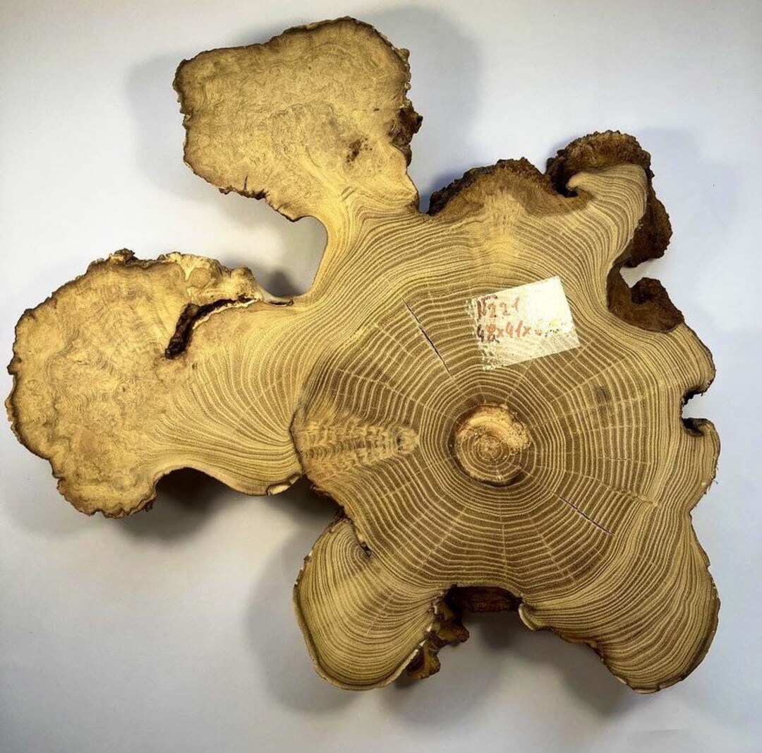 Acacia Burl. Woodworking Burl. Epoxy Craft. Live Edge Wood. Burl Wood ...