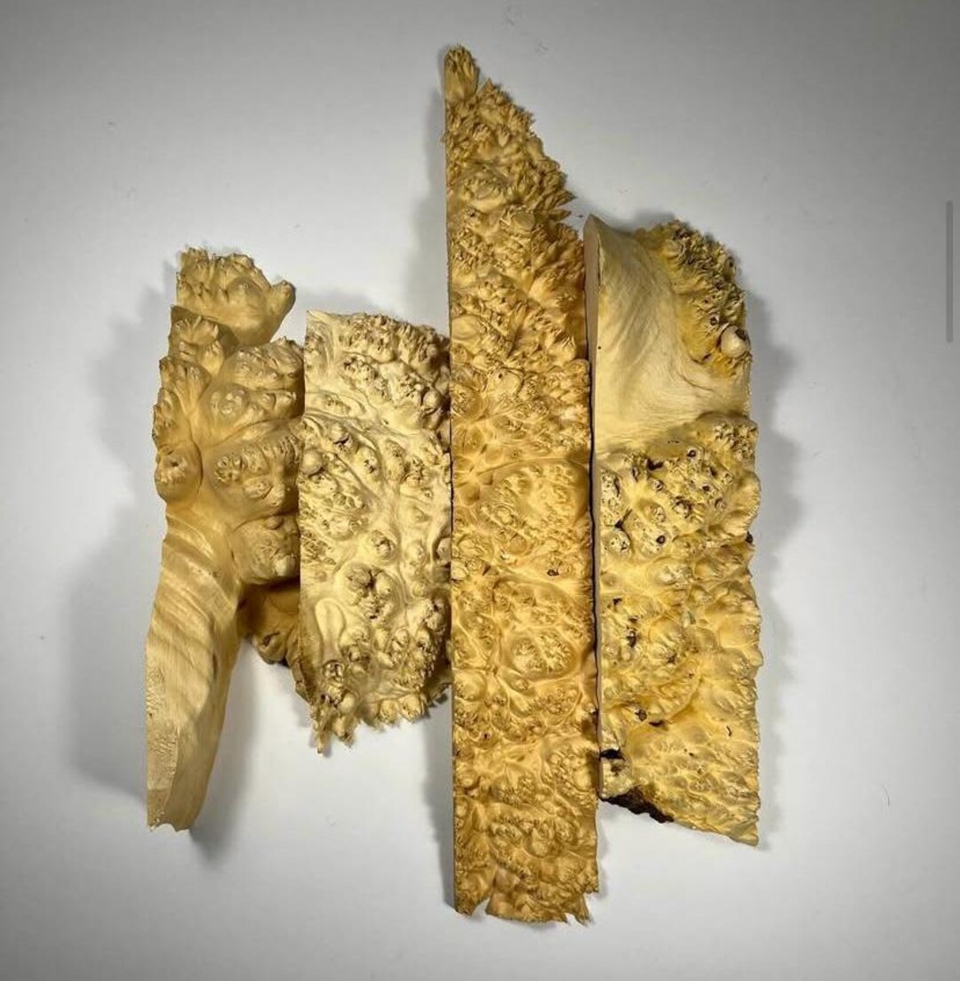 Set of Burl Wood. Burl Wood. Live Edge Wood. Burls Mix. Maple Burls ...