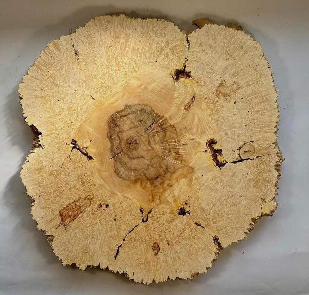 Maple Burl Wood. Big Leaf Maple Burl Resin Slab. Live Edge Wood. Burl ...