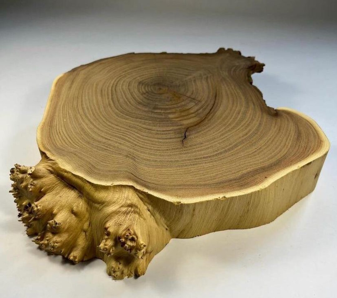 Olive Burl. Woodworking Burl. Epoxy Craft. Live Edge Wood. Burl Wood ...