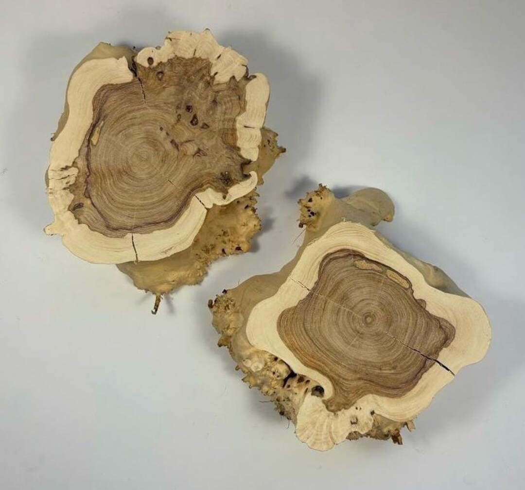 Burl Wood. Epoxy Resin. Burl Wood. Live Edge Wood. Lilac Burl Slab ...