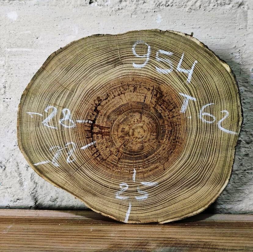 Round Wood Slab. Coaster. Wood Slab. Live Edge Wood Slab. - Etsy