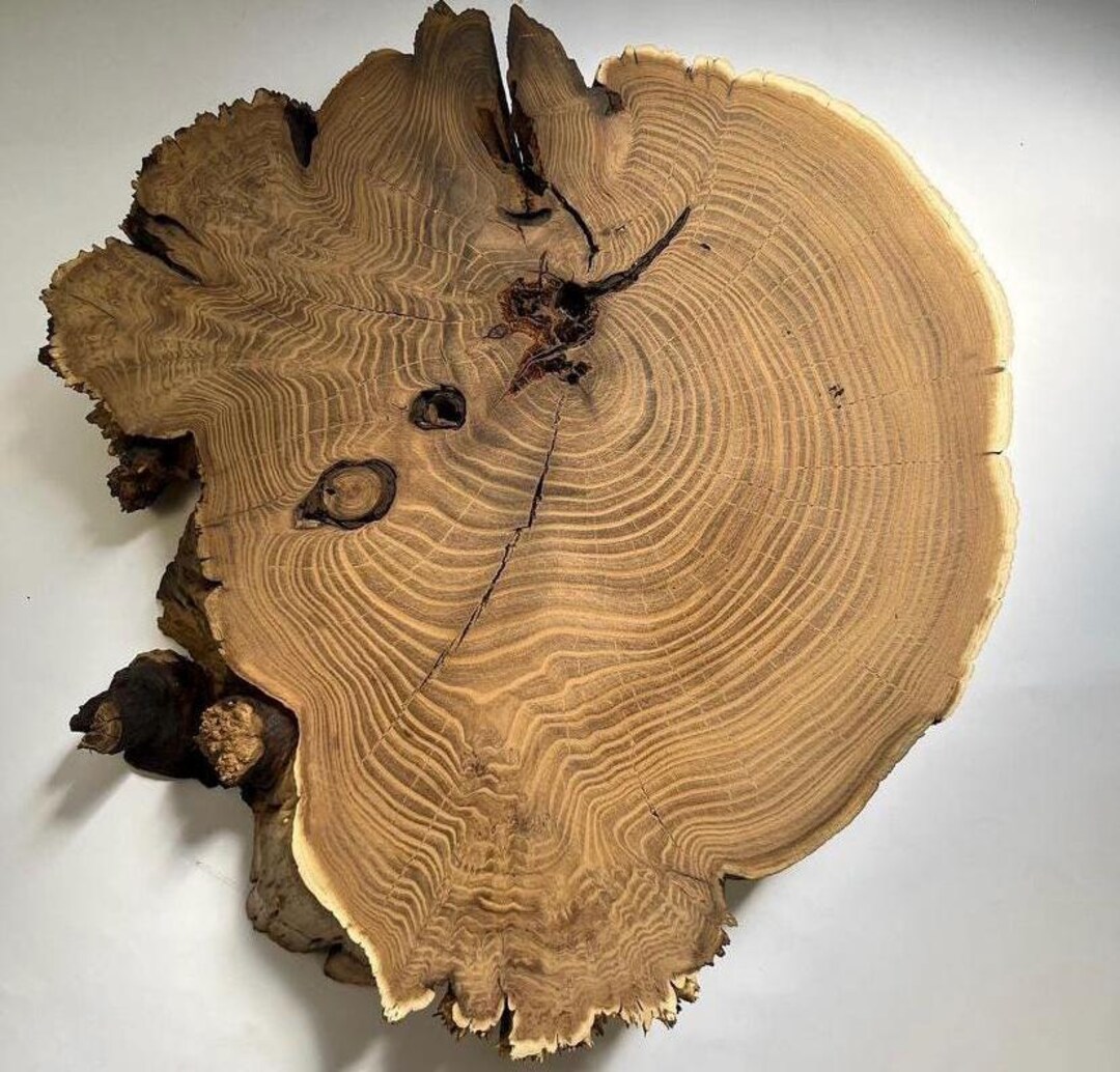 Wild Olive Wood Burl Slab, Epoxy Resin Art, 13.7x13 Inch - Etsy
