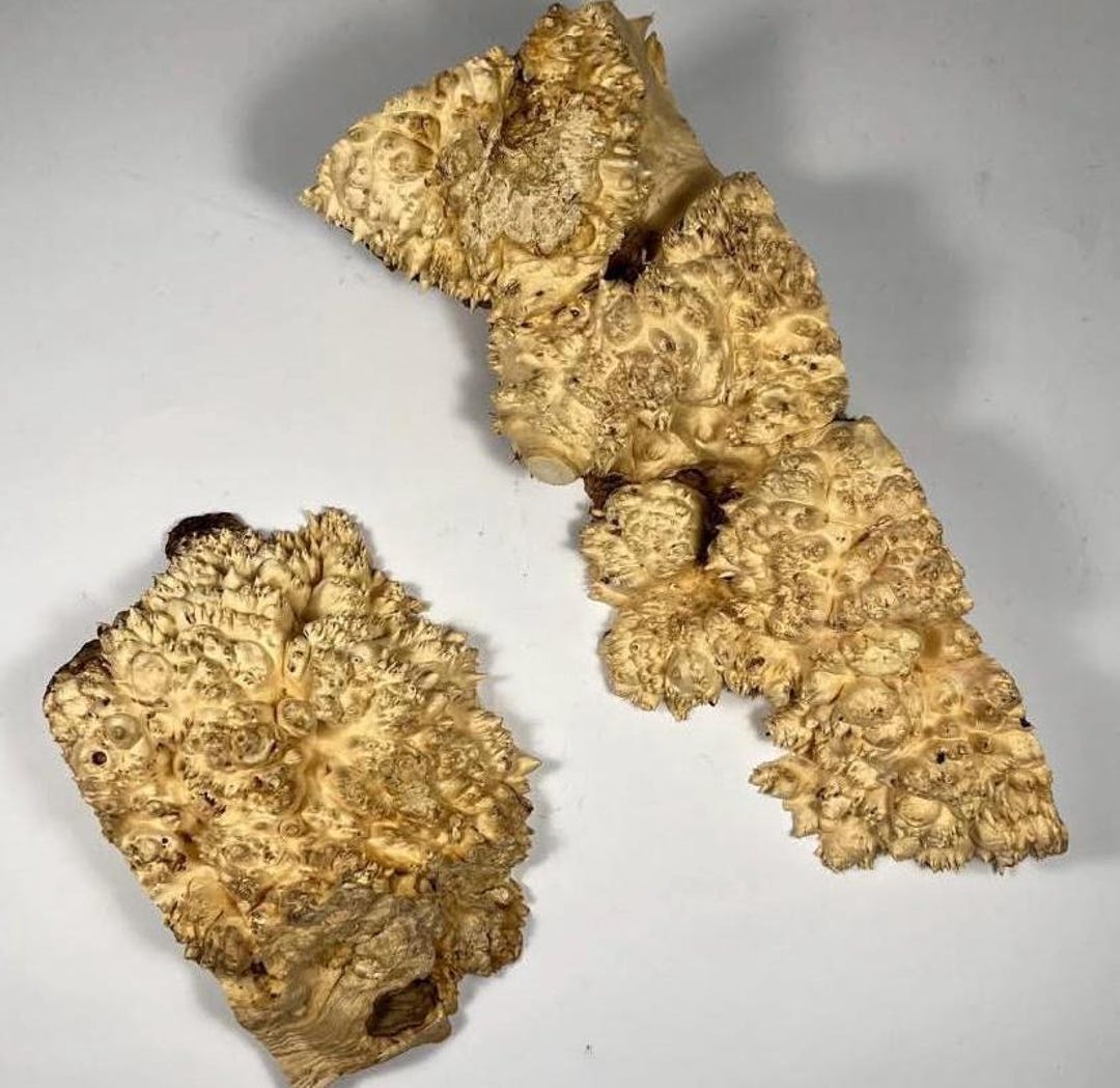 Set of Burl Wood. Burl Wood. DIY Crafts. Dried Burl Slabs. Woodworking ...