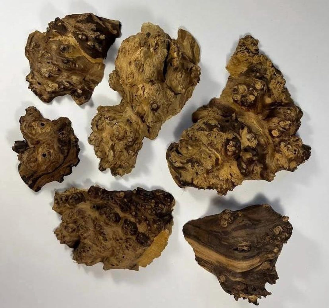 Set of Burl Wood. Burl Wood. Live Edge Wood. Burls Mix. Olive Wood ...