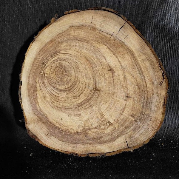 Rustic Round Wood Slabs - Etsy