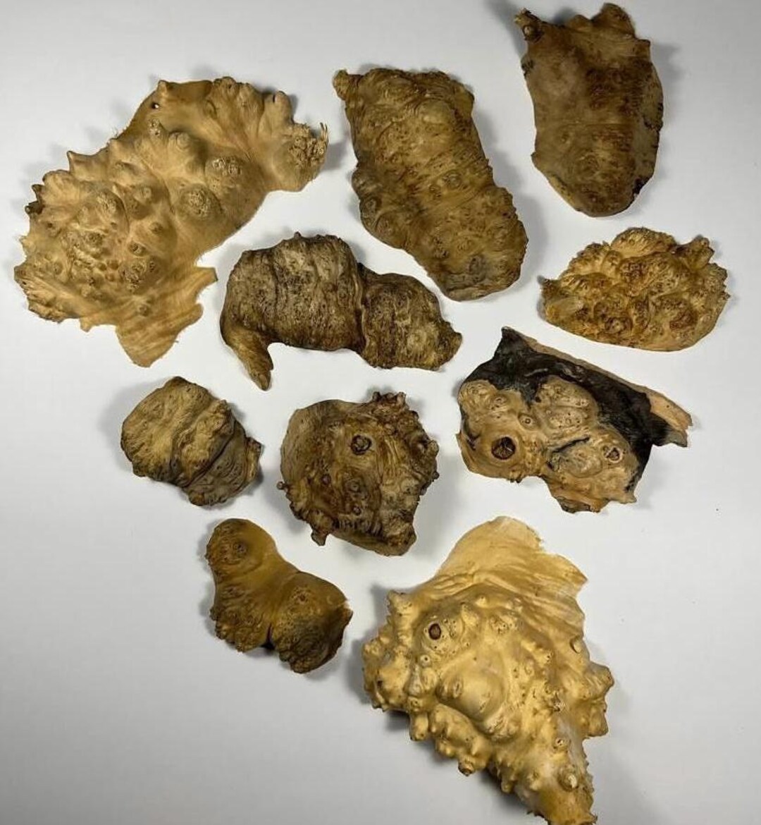 Set of Burl Wood. Burl Wood. Live Edge Wood. Burls Mix. Maple Burls ...