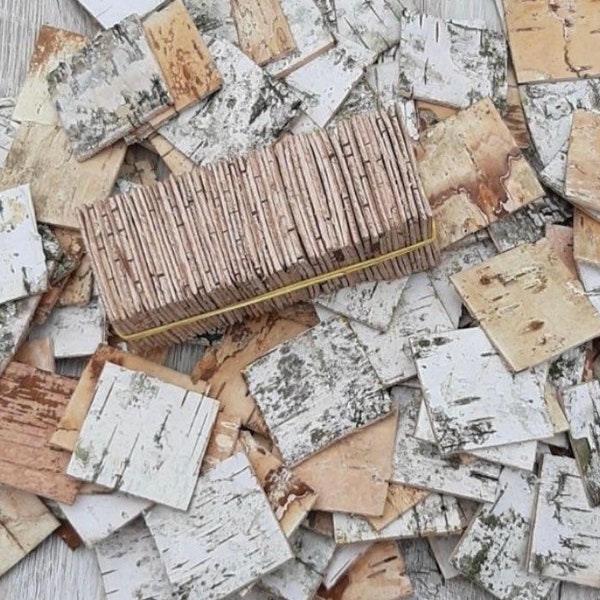 Birch Bark - Etsy