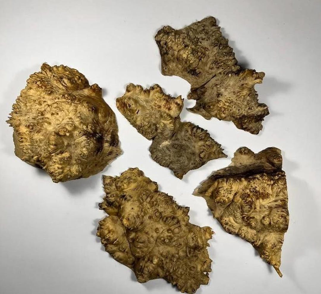 Set of Burl Wood. Burl Wood. Live Edge Wood. Burls Mix. Maple Burls ...