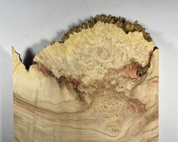 Maple Burl Wood. Big Leaf Maple Burl Resin Slab. Live Edge Wood. Burl ...