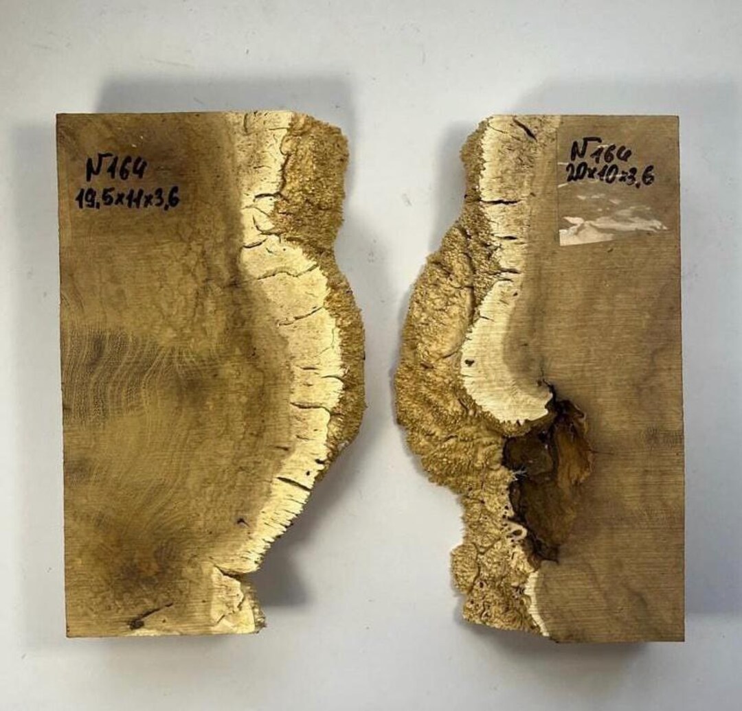 Set of Burl Wood. Burl Wood. DIY Crafts. Dried Burl Slabs. Woodworking ...