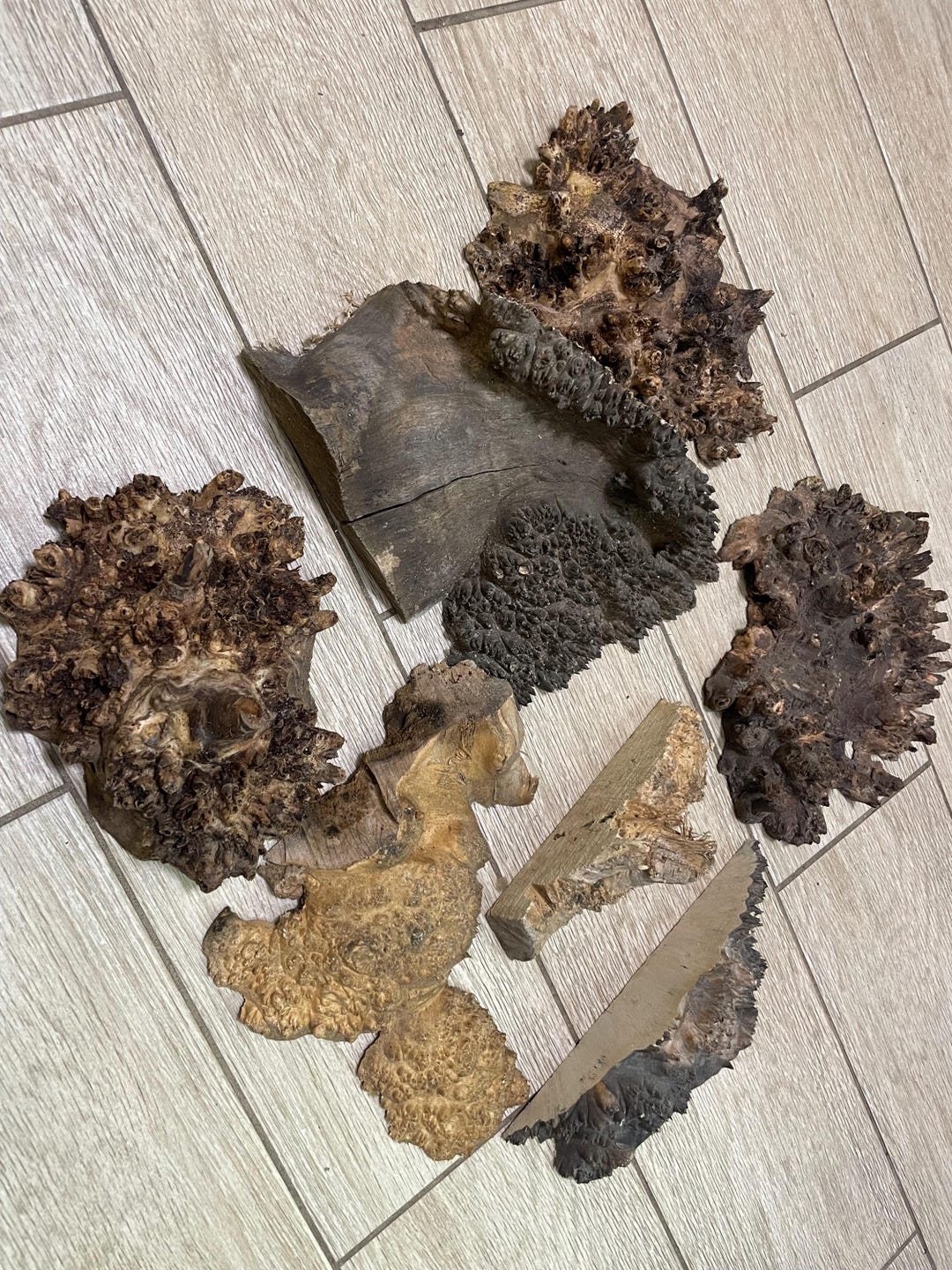Mixed Wood Burl Set. Burls. Burl Pieces. Burl Blanks. Resin Casting ...