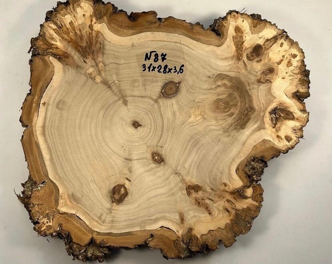 Poplar Burl. Wood Burl. Live Edge Slab. Epoxy Resin. Round Burl. Large ...