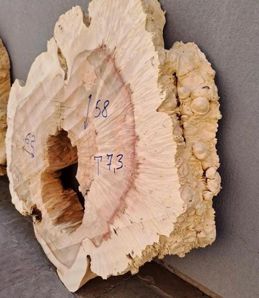 Maple Burl Wood. 24.4 Round Maple Burl Resin Slab. Live Edge Wood. Burl ...