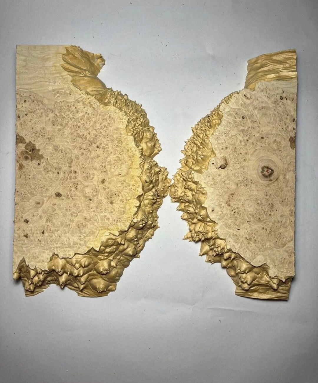 Set of Burl Wood. Burl Wood. DIY Crafts. Dried Burl Slabs. Woodworking ...