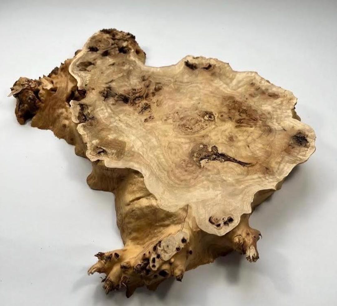 Poplar Burl. Wood Burl. Live Edge Slab. Epoxy Resin. Round Burl. Large ...