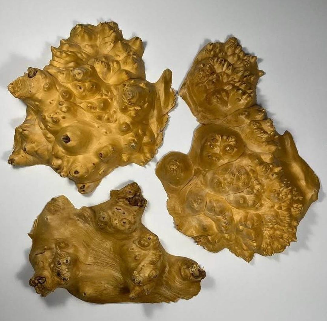 Set of Burl Wood. Burl Wood. Live Edge Wood. Burls Mix. Maple Burls ...