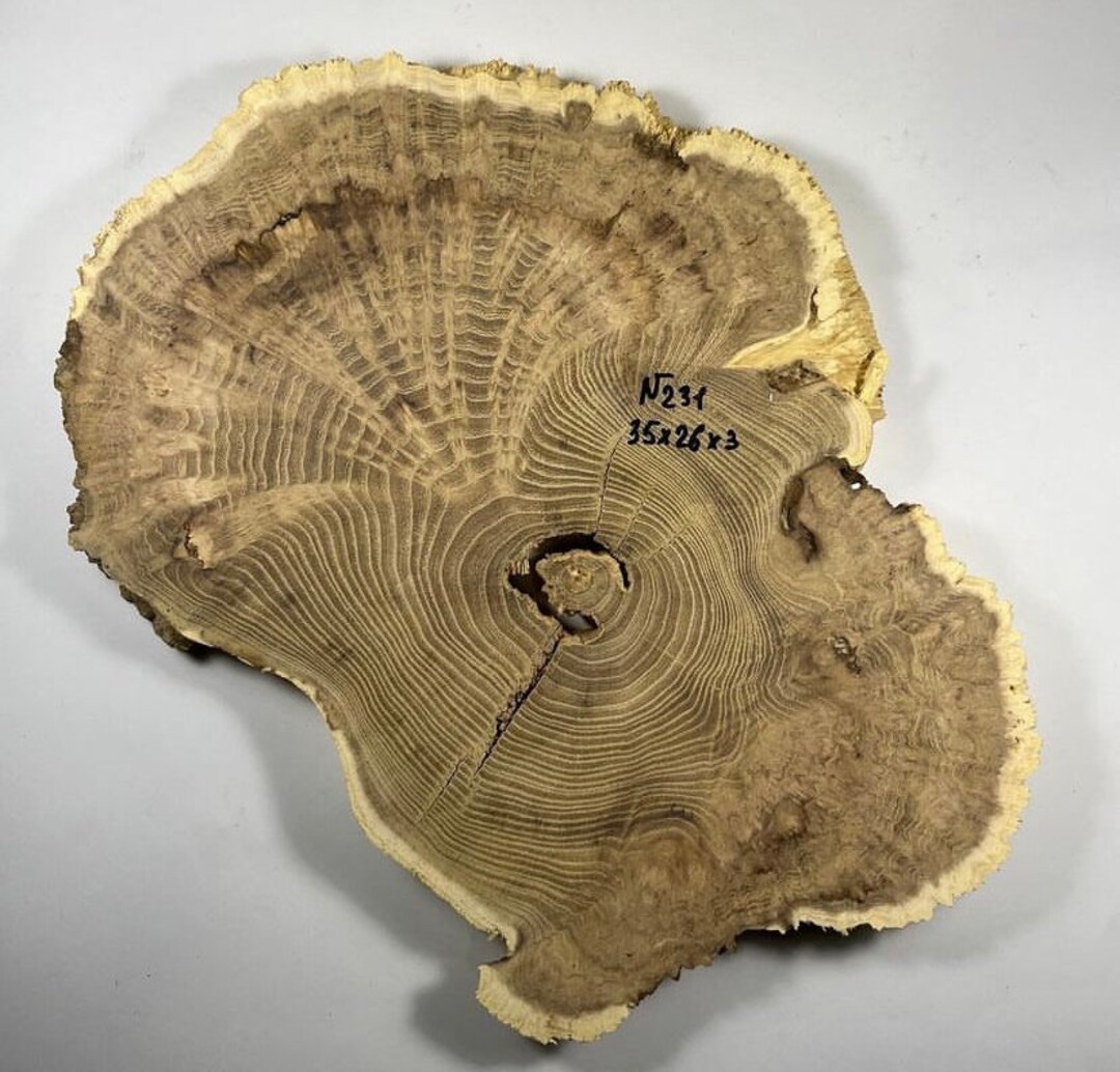 Wood Burl. Live Edge Slab. Epoxy Resin. Acacia Burl. Wood Turning. Burl ...