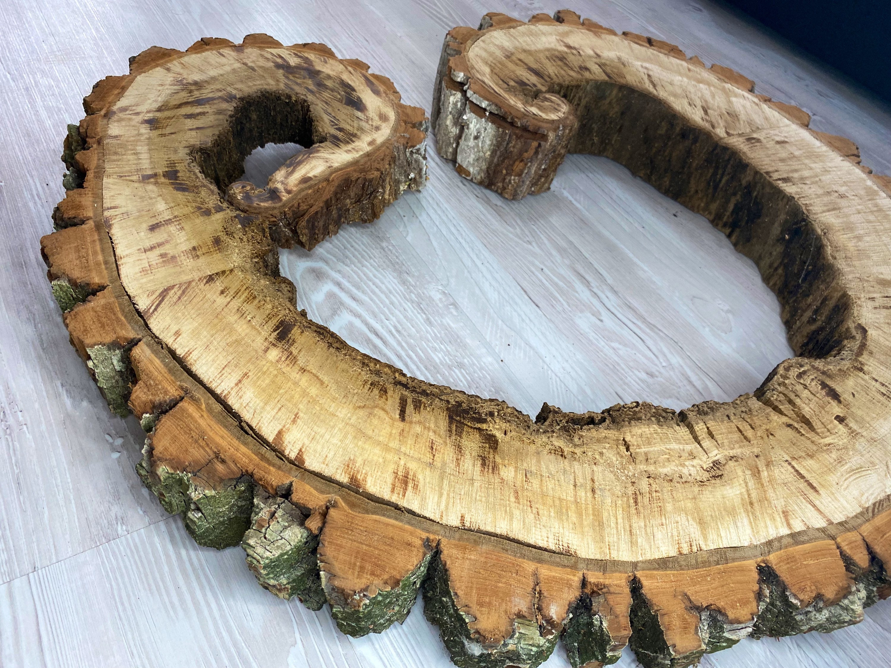 Hollow Log Clipart Border