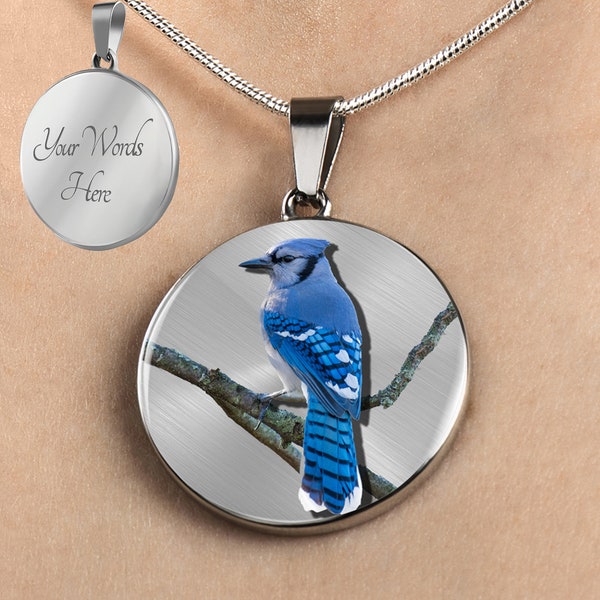 Blue Jay Birds - Etsy