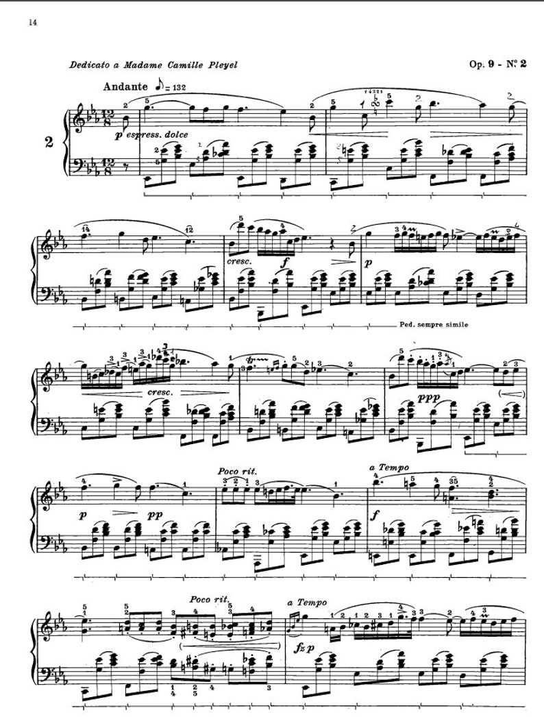 Frederic Chopin Nocturne in E-flat Major, Op. 9, No. 2 - Etsy