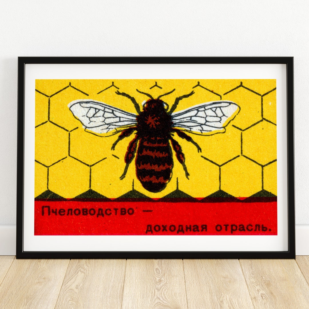 Bee in Beehive Matchbox Print Aesthetic Wall Art Vintage Eastern Europe ...