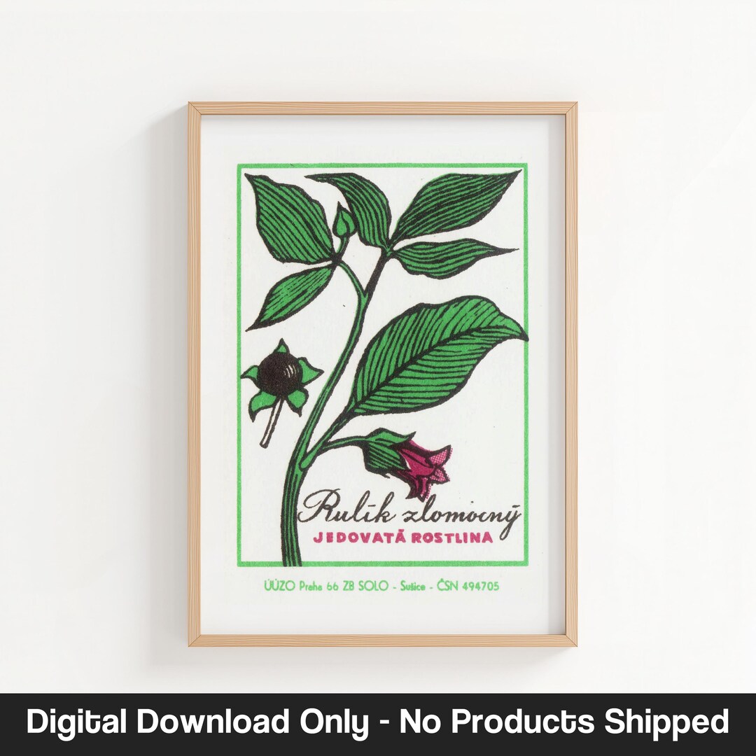 ÚŽO Plant Pink Vintage Label: Czech Matchbox Art, Green Pink Palette ...