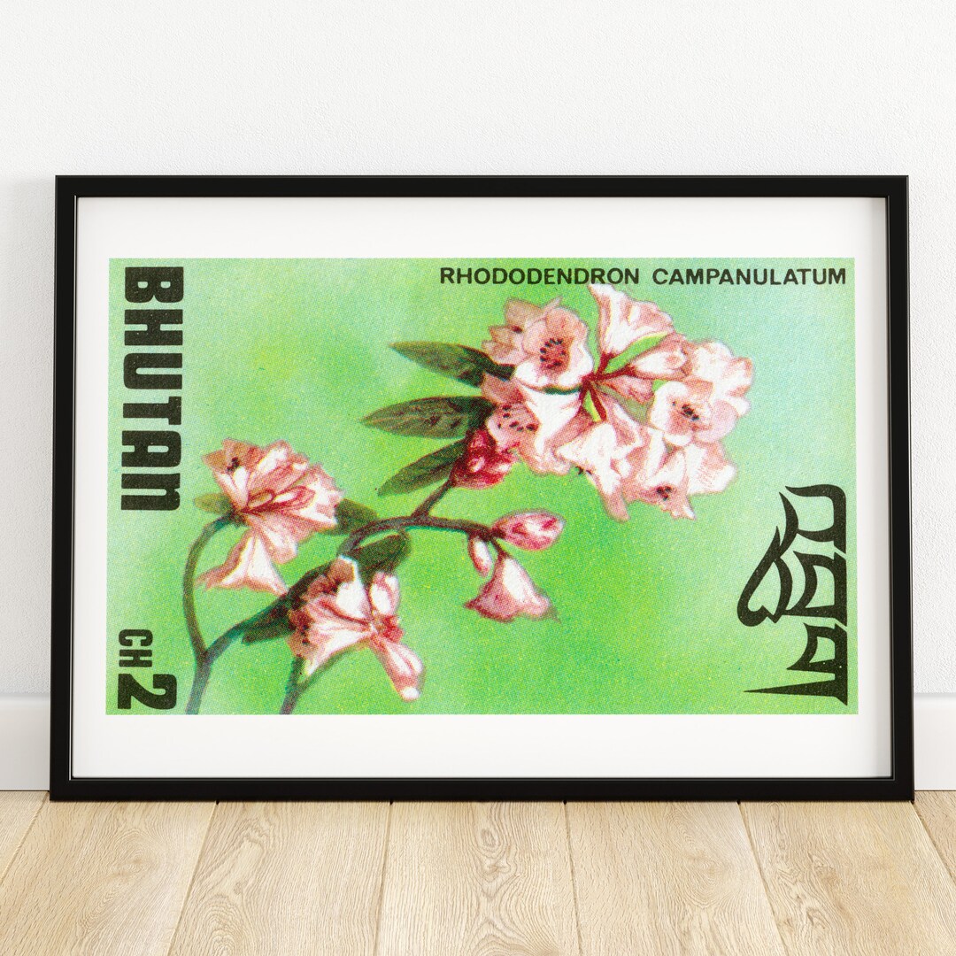 Pink Flowers Bhutan Postage Stamp Print Aesthetic Wall Art Postage ...