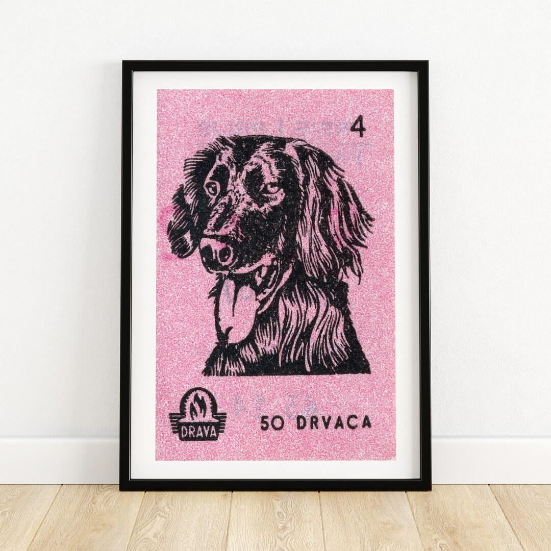 Pink Dog Matchbox Print Aesthetic Wall Art Vintage Eastern Europe Art ...