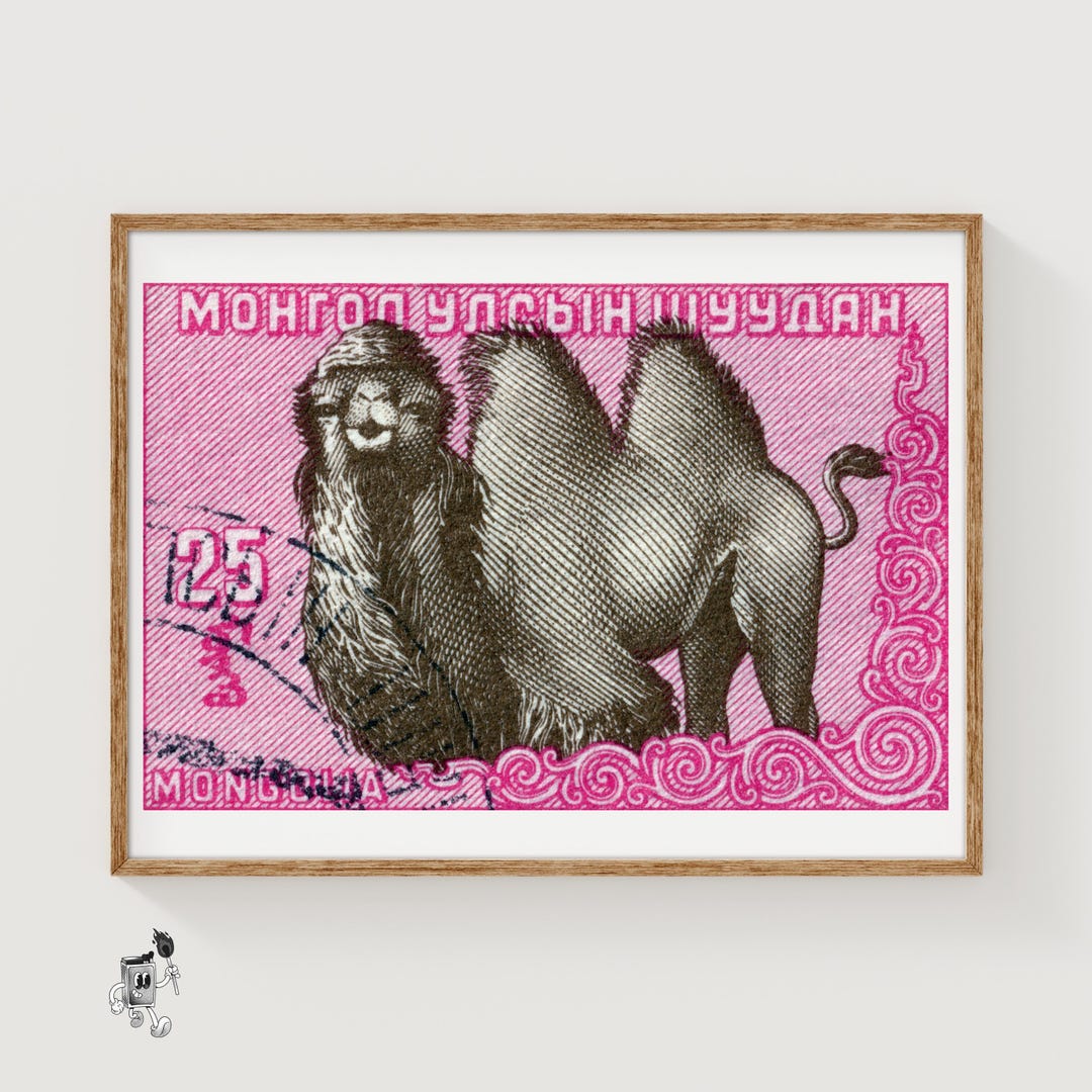 Mongolian Camel Postage Stamp Print: Vintage Wall Art - Etsy