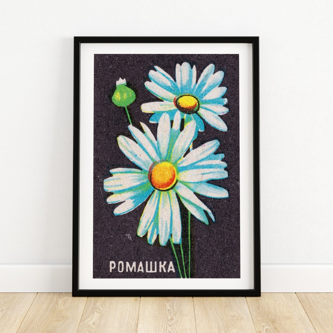 Daisy Flowers Matchbox Print Aesthetic Wall Art Vintage - Etsy