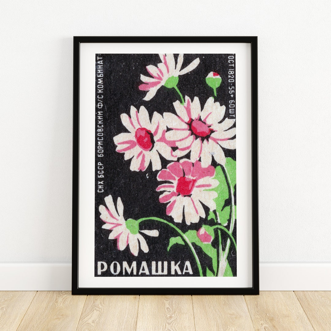 Pink Chamomile Flowers Matchbox Print Aesthetic Wall Art Vintage Art ...