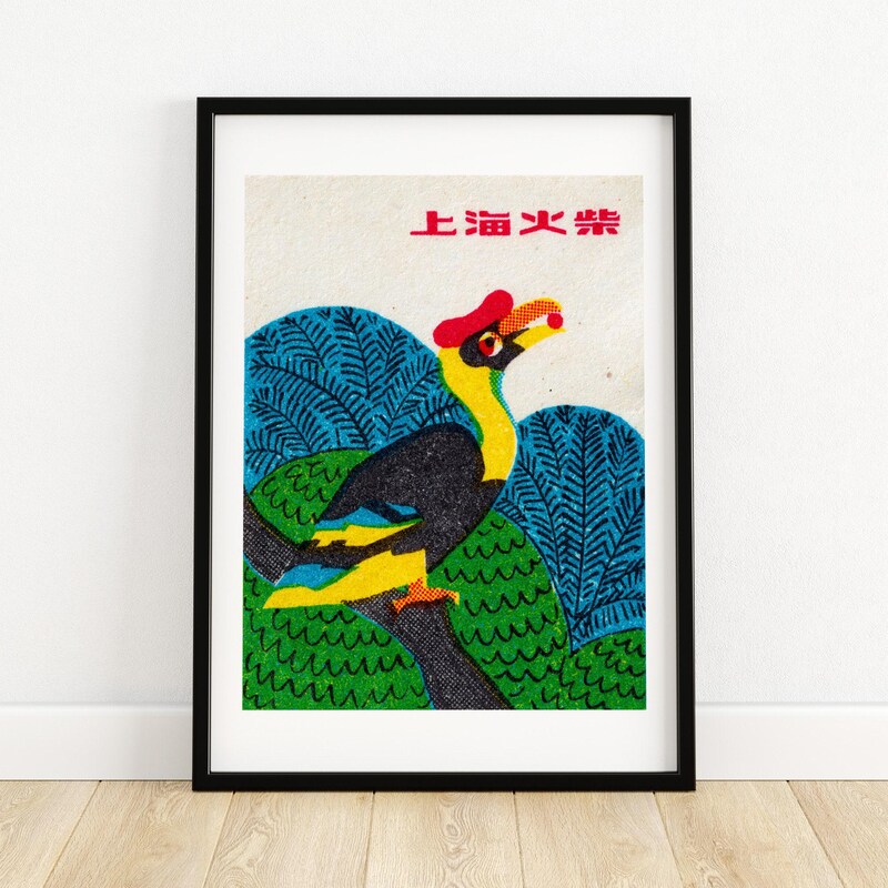 Toucan Poster - Etsy